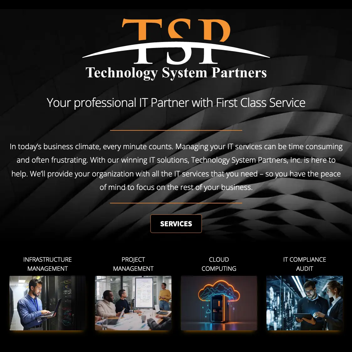 Home - Technology System Partners, Inc.